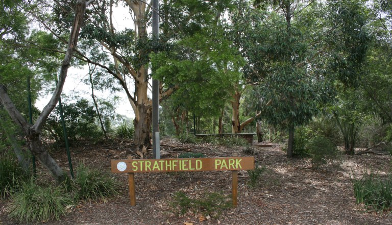 Strathfield Park – Strathfield Heritage