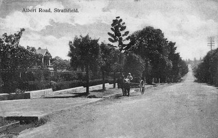 Street trees and nature strips in Strathfield – Strathfield Heritage