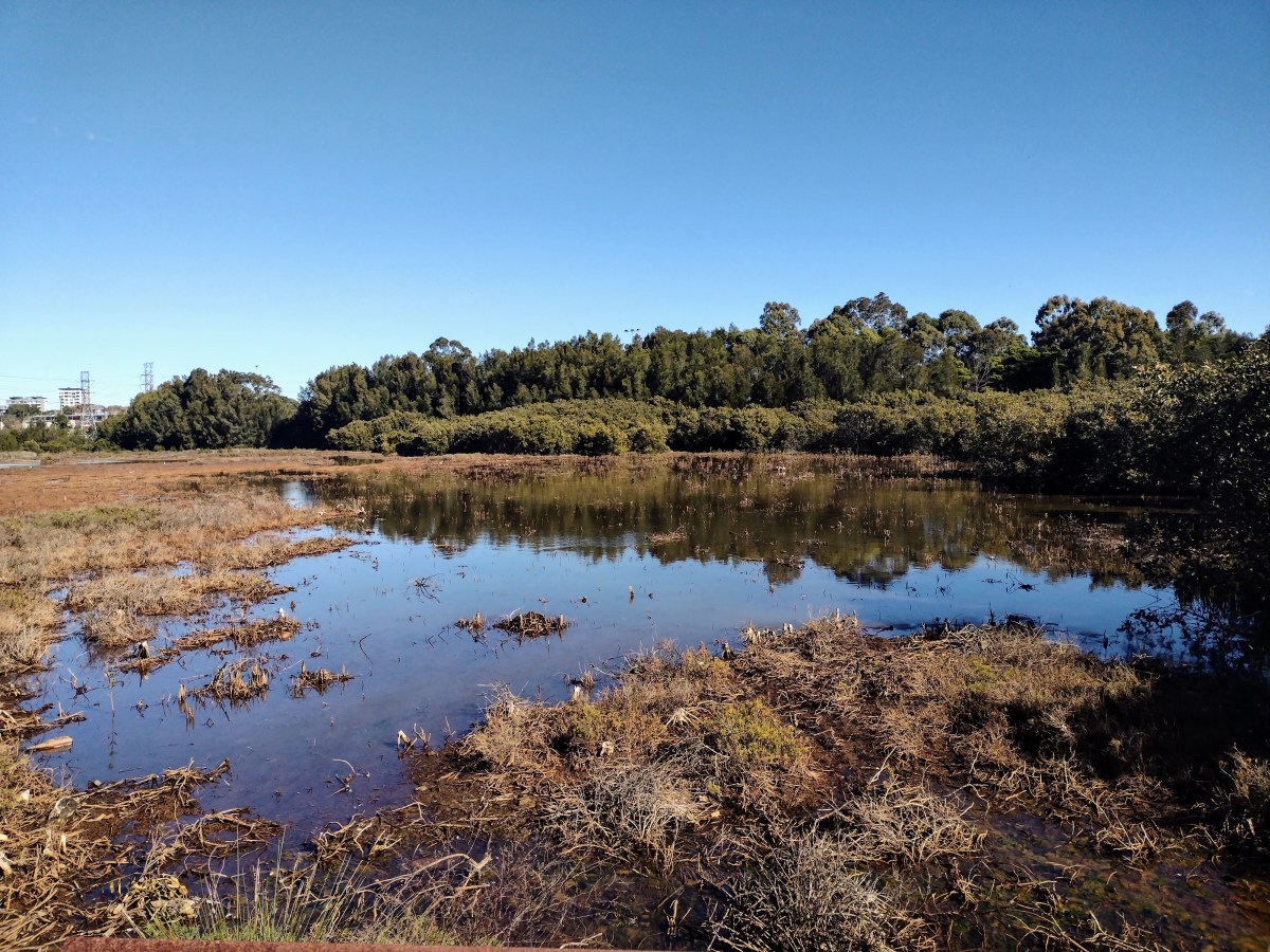 Mason Park and Mason Park Wetlands – Strathfield Heritage