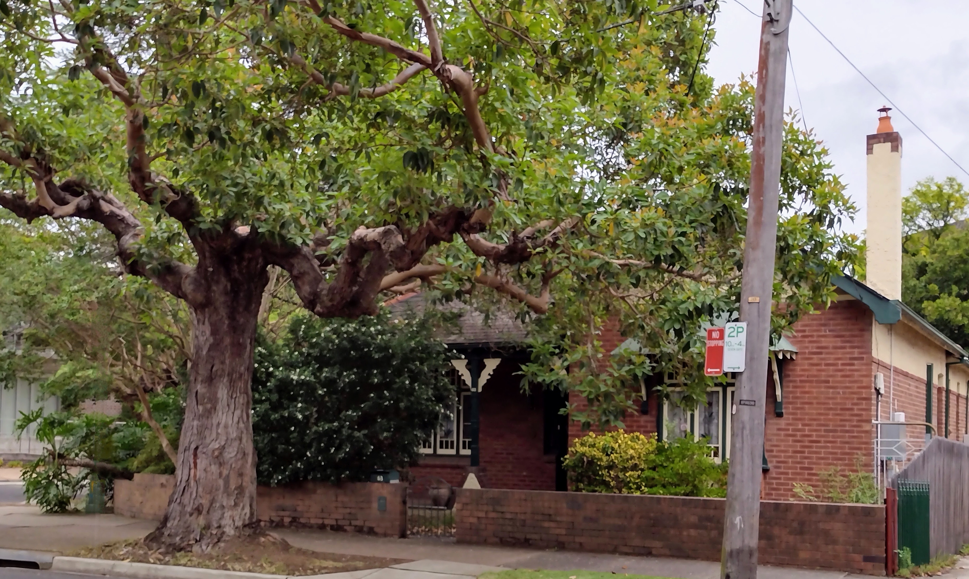 ’Greenwich’ 63 Rochester Street Homebush – Strathfield Heritage