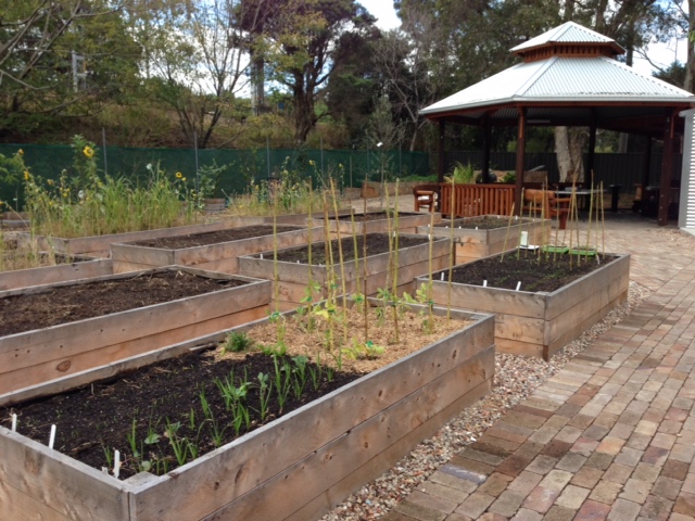 Strathfield Community Garden – open to new members – Strathfield Heritage
