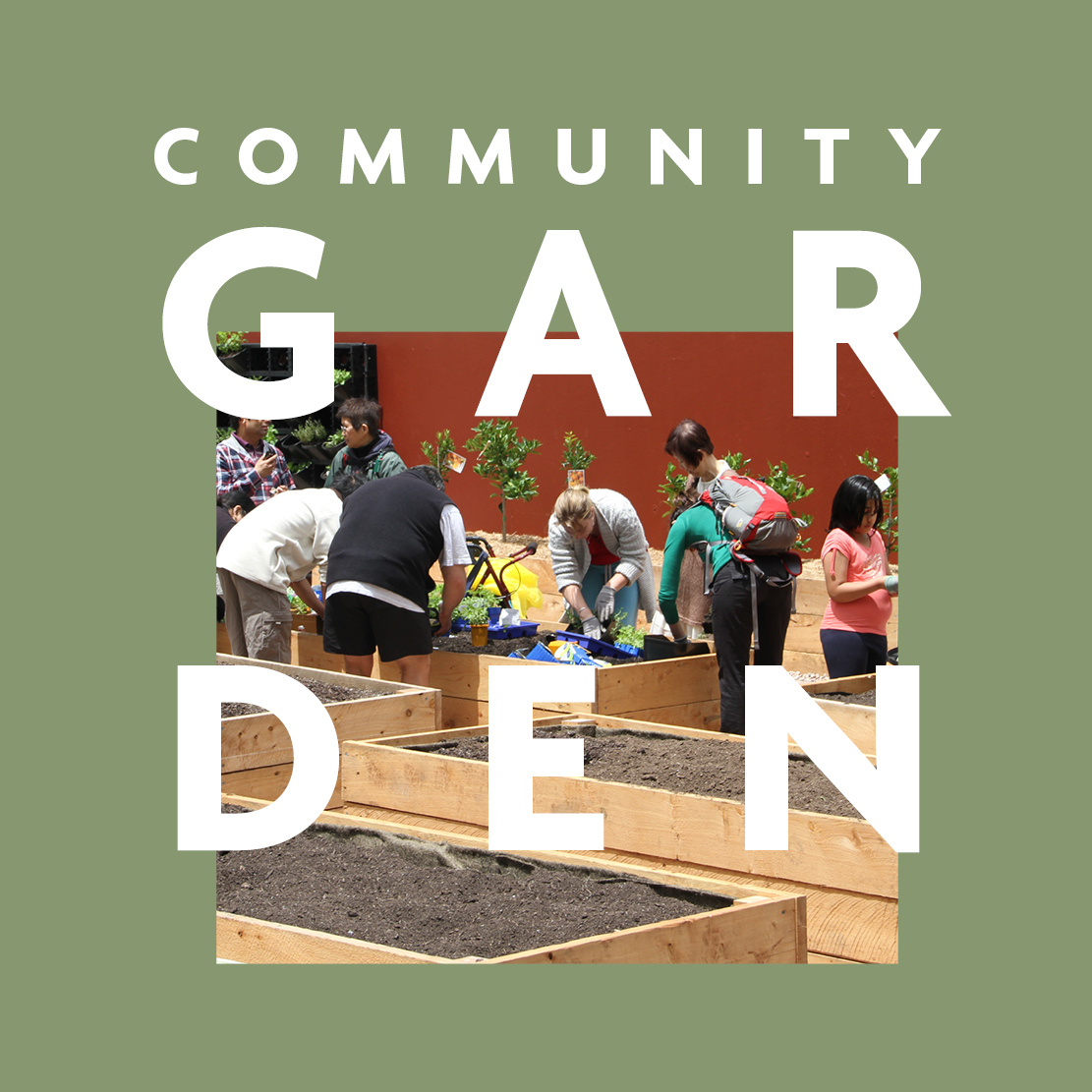 Strathfield Community Garden Opening – Strathfield Heritage