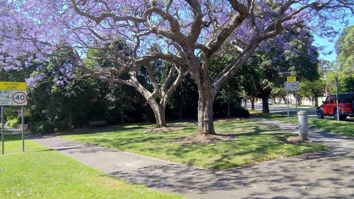 Slater Reserve Homebush – Strathfield Heritage
