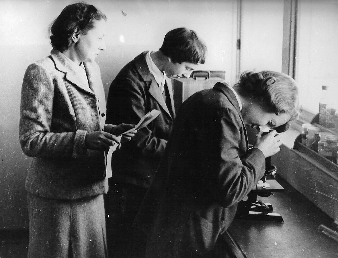 Strathfield Girls High School – Strathfield Heritage